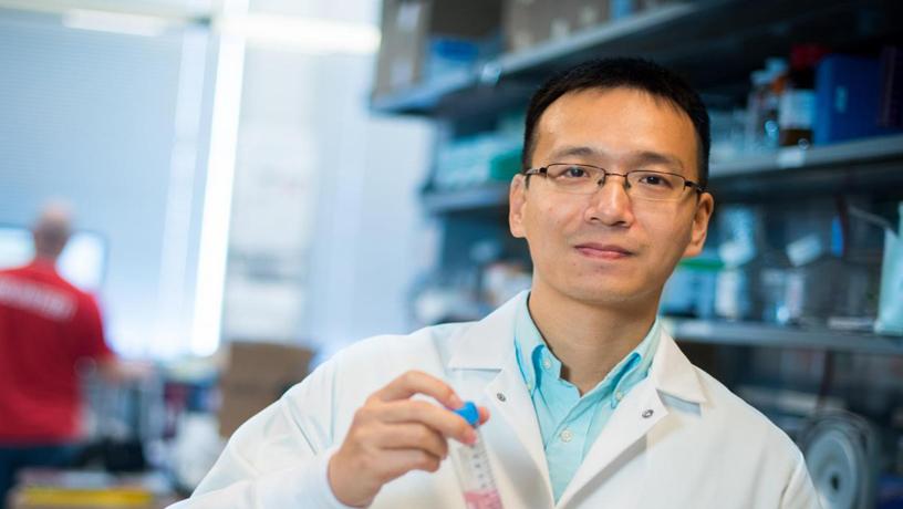 Faculty Appointed to Named Professorships | Applied Physics and Applied ...